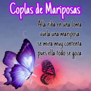 Coplas de mariposas - Coplas de